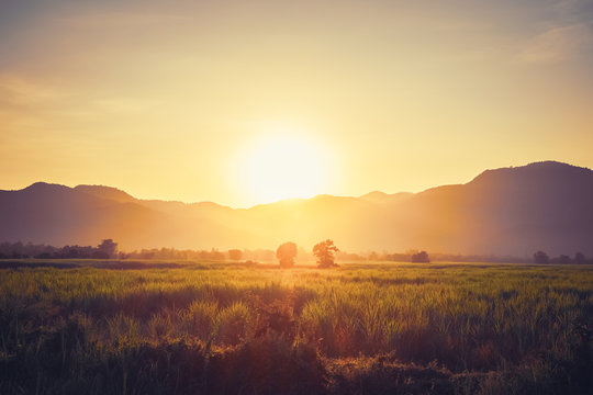 Free Sunlight Images – Browse 26,136 Free Stock Photos, Vectors, and ...