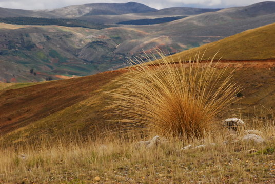 Ichu Images – Browse 279 Stock Photos, Vectors, and Video | Adobe Stock