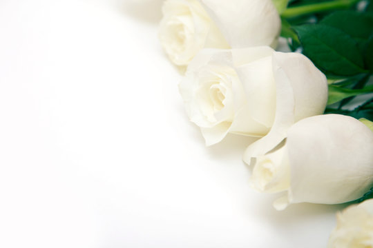 White Rose Funeral Background