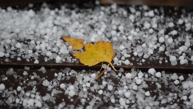 Frigidity Video Footage – Browse 9,347 HD Stock Video and Footage ...