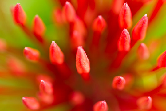 「Exoras」の写真素材 | 29件の無料イラスト画像 | Adobe Stock