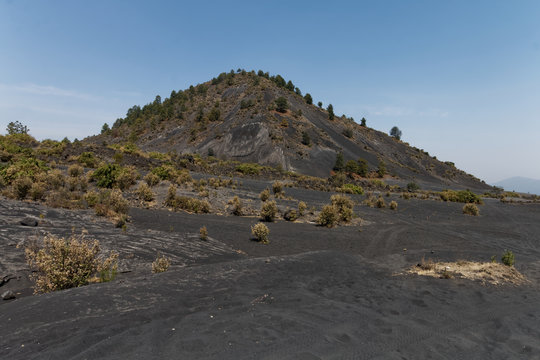 Nagle Images – Browse 16 Stock Photos, Vectors, and Video | Adobe Stock