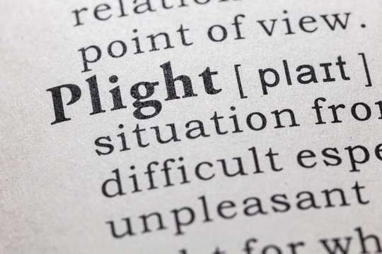 Plight Images – Browse 61,946 Stock Photos, Vectors, and Video | Adobe ...