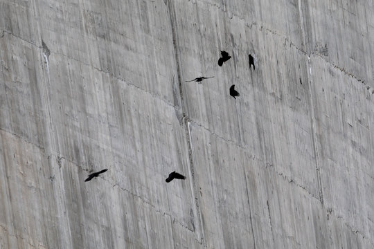 Alpendole Bilder – Durchsuchen 81 Archivfotos, Vektorgrafiken und ...