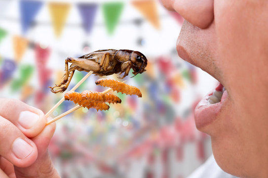 รูปภาพOmphisa – เลือกดูภาพถ่ายสต็อก เวกเตอร์ และวิดีโอ126 | Adobe Stock