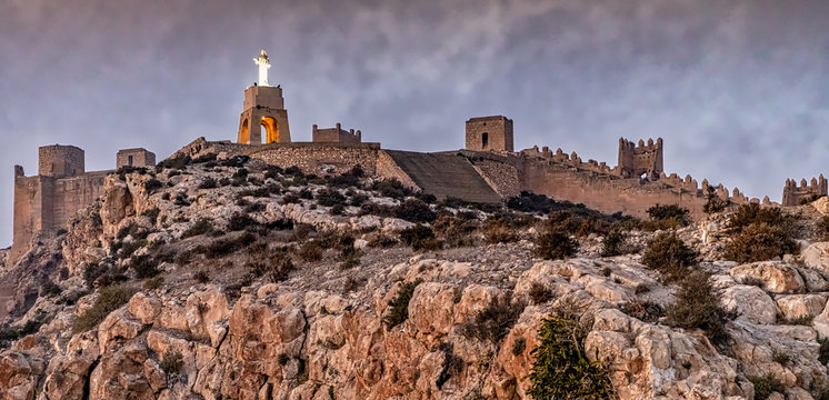 Jayran bilder – Bläddra bland 39 stockfoton, vektorer och videor ...