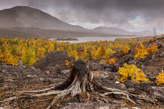 รูปภาพMonchegorsk – เลือกดูภาพถ่ายสต็อก เวกเตอร์ และวิดีโอ165 | Adobe Stock