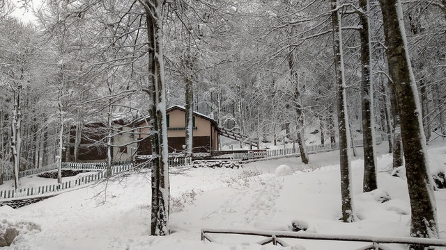 Piccol Images – Browse 3 Stock Photos, Vectors, and Video | Adobe Stock