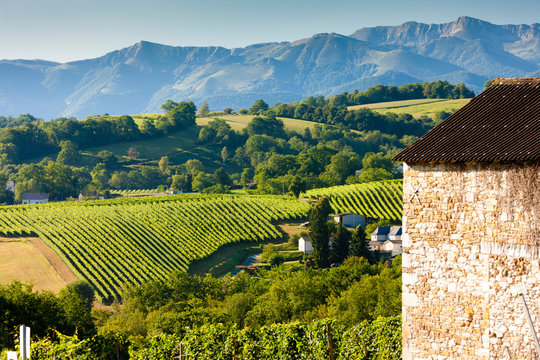 Jurancon Images – Browse 274 Stock Photos, Vectors, and Video | Adobe Stock