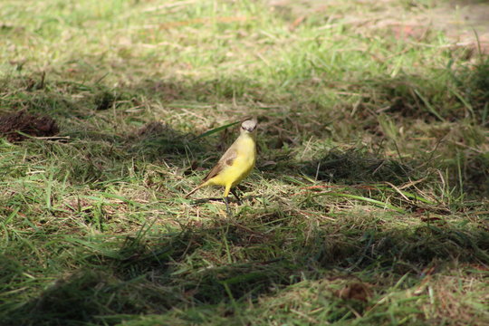 Rixosa Images – Browse 39 Stock Photos, Vectors, and Video | Adobe Stock