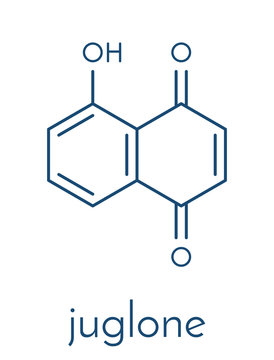 Juglon Images – Browse 10 Stock Photos, Vectors, and Video | Adobe Stock