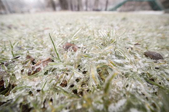 "Frozen Ground" Images – Browse 210 Stock Photos, Vectors, and Video ...