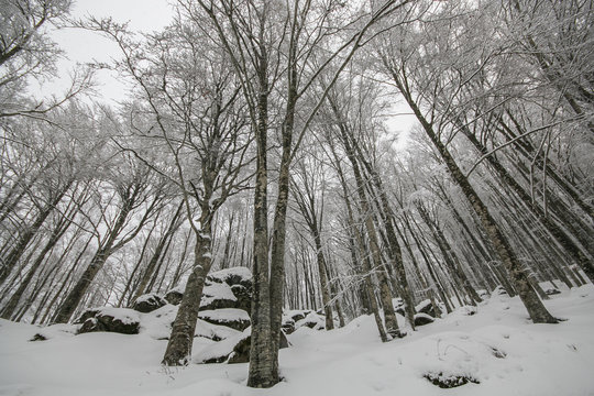 159,717 IMAGES, PHOTOS ET ILLUSTRATIONS VECTORIELLES STOCK APPROPRIÉES ...