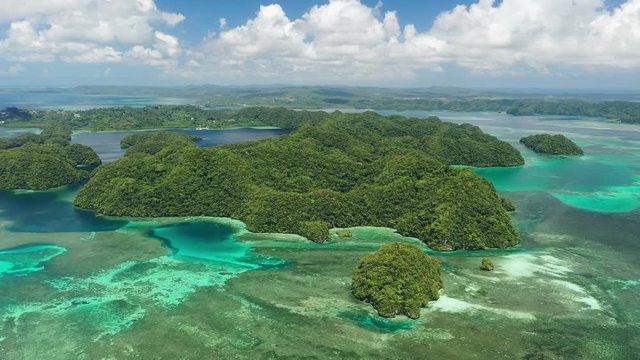 "Palau Images – Browse 34,111 Stock Photos, Vectors, and Video | Adobe ...