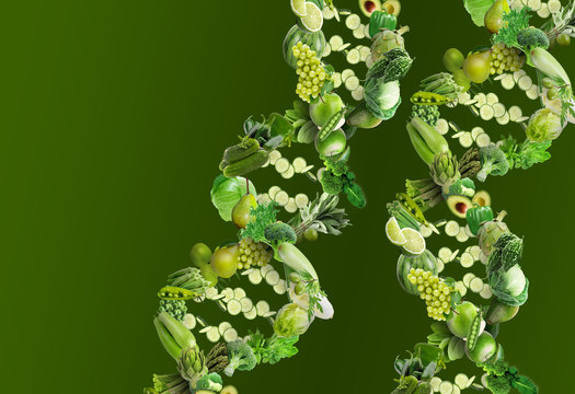 Nutrigenetics photos, royalty-free images, graphics, vectors & videos ...