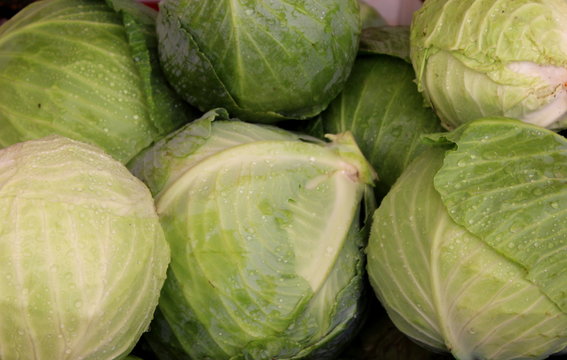 รูปภาพKopfkohl – เลือกดูภาพถ่ายสต็อก เวกเตอร์ และวิดีโอ201 | Adobe Stock