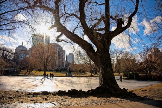 Boston Common Winter Images – Browse 731 Stock Photos, Vectors, and ...