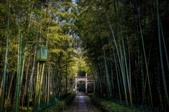 Bingshu Images – Browse 58 Stock Photos, Vectors, and Video | Adobe Stock