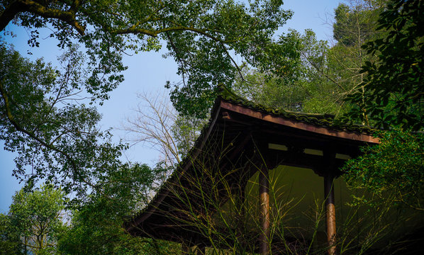 Bingshu Images – Browse 58 Stock Photos, Vectors, and Video | Adobe Stock