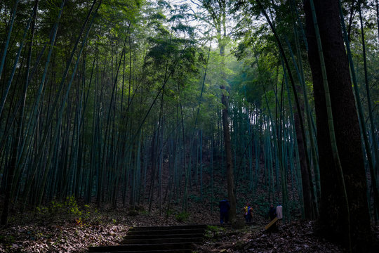 Bingshu Images – Browse 58 Stock Photos, Vectors, and Video | Adobe Stock