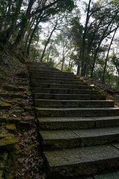 Bingshu Images – Browse 58 Stock Photos, Vectors, and Video | Adobe Stock