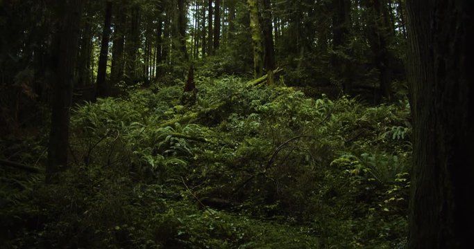 Imagens de Expose – Explore Fotografias do Stock, Vetores e Vídeos de ...