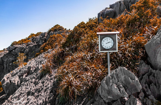 Angtong Images – Browse 61 Stock Photos, Vectors, and Video | Adobe Stock