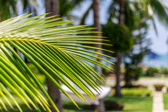 Angtong Images – Browse 61 Stock Photos, Vectors, and Video | Adobe Stock