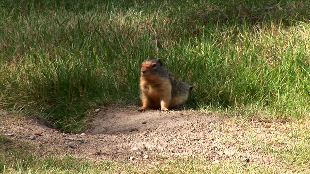 รูปภาพPicas – เลือกดูภาพถ่ายสต็อก เวกเตอร์ และวิดีโอ317 | Adobe Stock