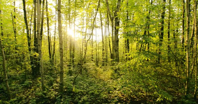 "Mother Nature" Images – Browse 30,110 Stock Photos, Vectors, and Video ...