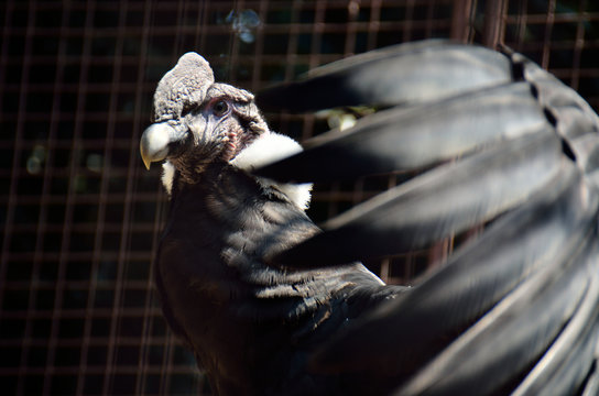 「長居する」の写真素材 | 1,127,994件の無料イラスト画像 | Adobe Stock