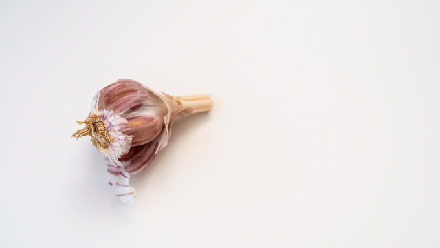 Pychota Images – Browse 44 Stock Photos, Vectors, and Video | Adobe Stock