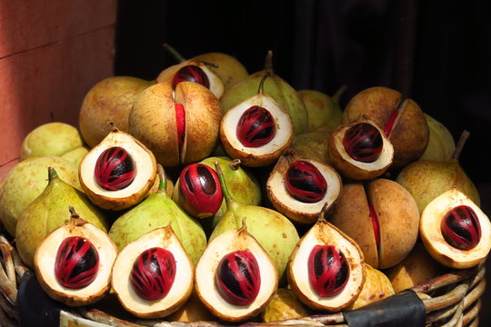 Muscade Images – Browse 666 Stock Photos, Vectors, and Video | Adobe Stock