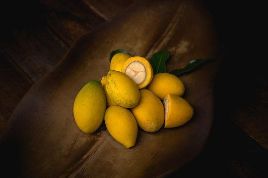 「Oiti」の写真素材 | 55件の無料イラスト画像 | Adobe Stock