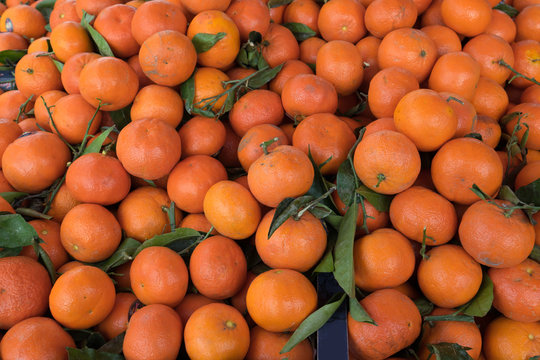 รูปภาพClementinen – เลือกดูภาพถ่ายสต็อก เวกเตอร์ และวิดีโอ1,858 | Adobe ...