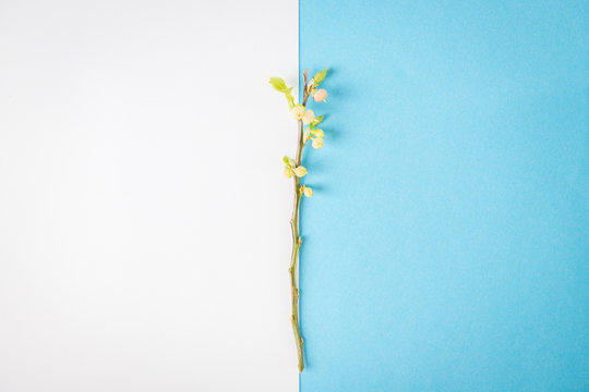 Transition Images – Browse 160,578 Stock Photos, Vectors, and Video ...