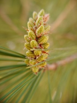 Frosa Bilder – Durchsuchen 3 Archivfotos, Vektorgrafiken und Videos ...