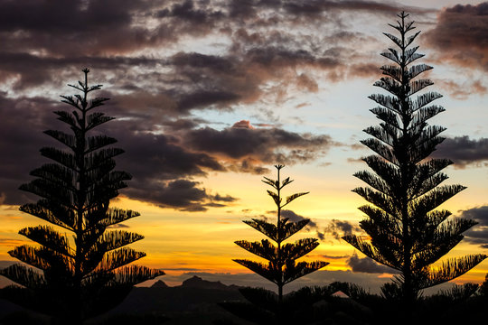 รูปภาพTagaytay – เลือกดูภาพถ่ายสต็อก เวกเตอร์ และวิดีโอ983 | Adobe Stock