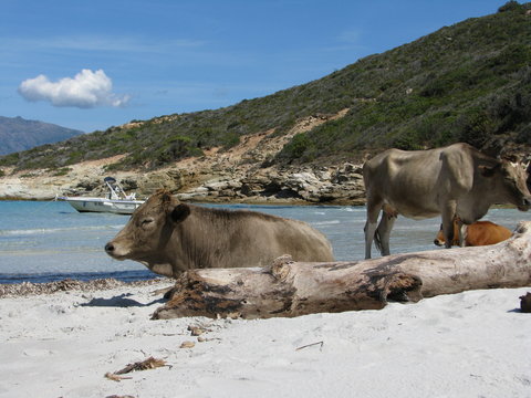 "Vach Bilder – Durchsuchen 328 Archivfotos, Vektorgrafiken und Videos ...