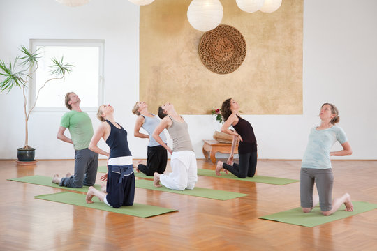 Yoga-Studio Images – Browse 38 Stock Photos, Vectors, and Video | Adobe ...