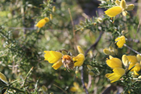 135 IMAGES, PHOTOS ET ILLUSTRATIONS VECTORIELLES STOCK APPROPRIÉES SUR ...