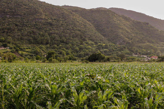 รูปภาพSembradio – เลือกดูภาพถ่ายสต็อก เวกเตอร์ และวิดีโอ169 | Adobe Stock