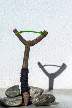 Proca Images – Browse 16 Stock Photos, Vectors, and Video | Adobe Stock