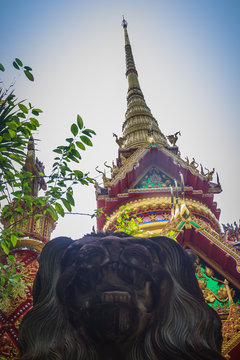 「Phlan」の写真素材 | 18件の無料イラスト画像 | Adobe Stock