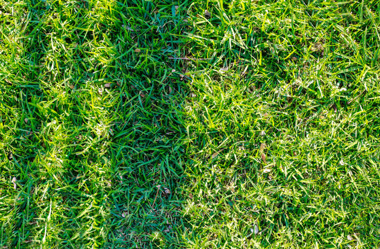 รูปภาพMatojo – เลือกดูภาพถ่ายสต็อก เวกเตอร์ และวิดีโอ159 | Adobe Stock