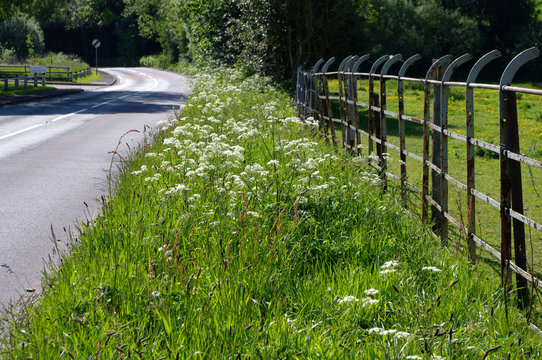 "Road Verge" Images – Browse 10,908 Stock Photos, Vectors, and Video ...