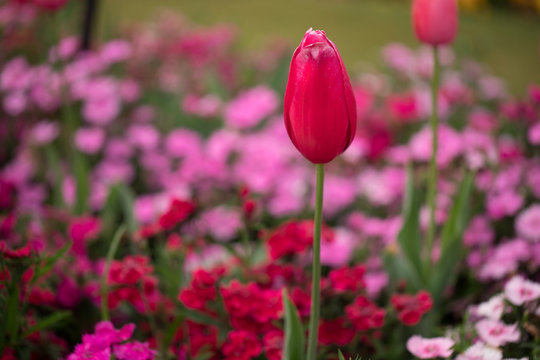 TraceyDee photos, images, assets | Adobe Stock