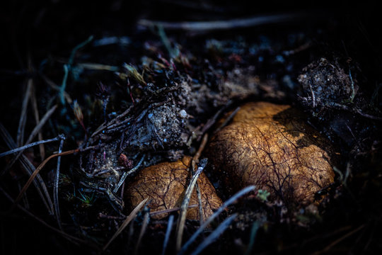 Jawohl Bilder – Durchsuchen 93 Archivfotos, Vektorgrafiken und Videos ...