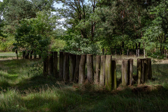 Jawohl Bilder – Durchsuchen 93 Archivfotos, Vektorgrafiken und Videos ...