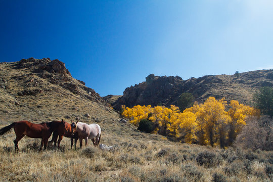 North Texas Landscape Bilder – Durchsuchen 1,168 Archivfotos ...